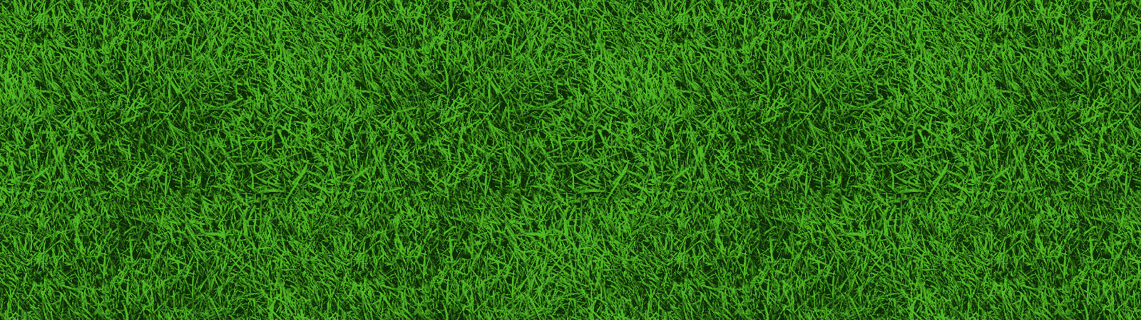 Collegiate Collection - Florida™ & Georgia® — Goodr Sunglasses EU